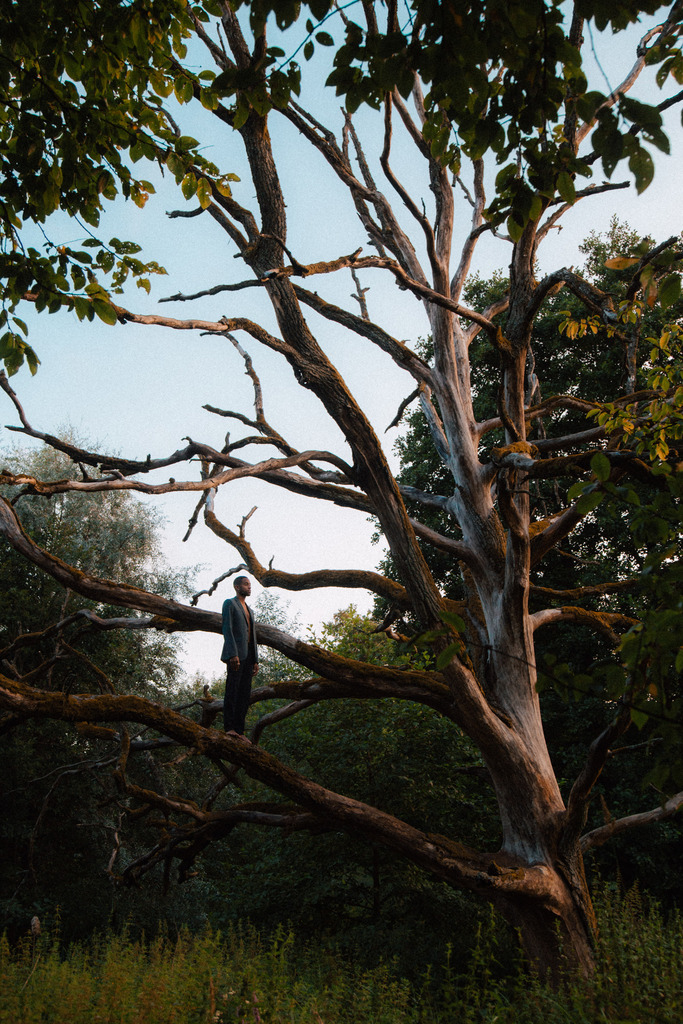 Derakht ‹ Faramarz Gosheh